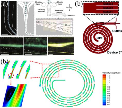 A Mass Dependent Particle Separation Based On Hydrodynamic Download Scientific Diagram