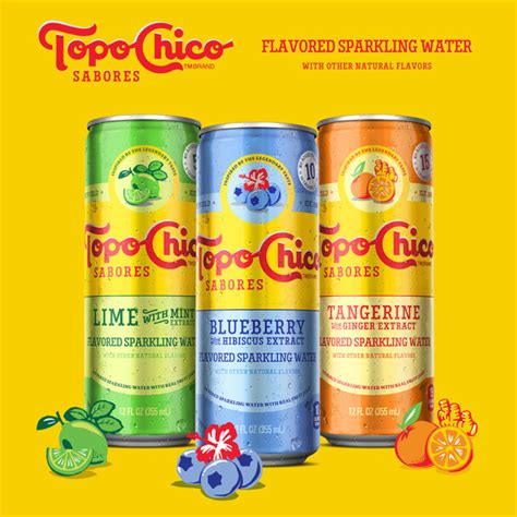 Food King Topo Chico Sabores Lime With Mint Extract Sparkling Water