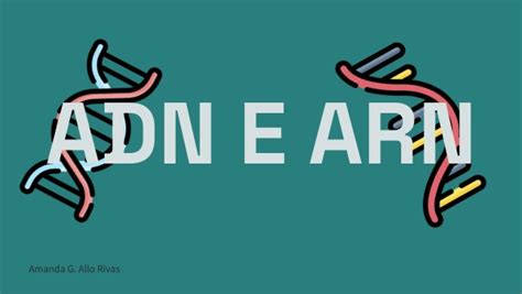 Adn E Arn