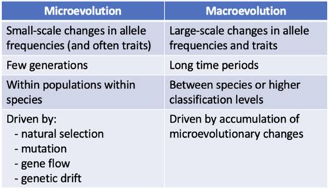 Bios 1710 Chapter 21 Macroevolution Flashcards Quizlet
