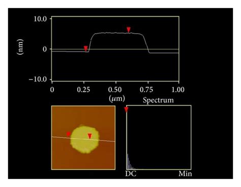 A Scanning Electron Microscopy Sem Image And B Atomic Force