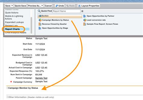 When Your Salesforce Campaign Member Status Chart Is Missing