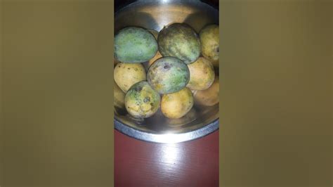 Aam Ke Bagicha Mein Baba Ke Pani Diya Vah Youtube