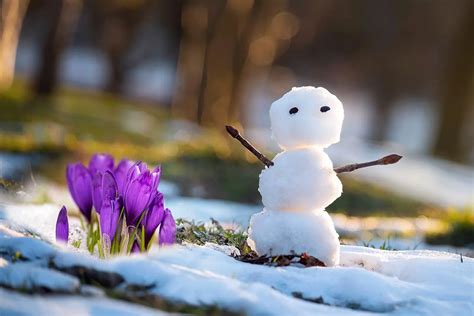 Зима посеред весни прогноз погоди на сьогодні Читайте на Ukr Net