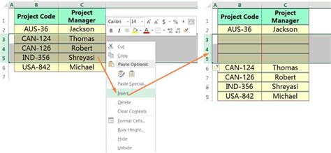 04 Ways How To Insert Multiple Rowscolumnscells In Excel