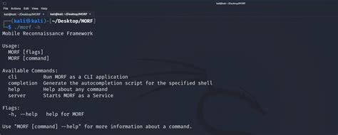Morf Mobile Reconnaissance Framework