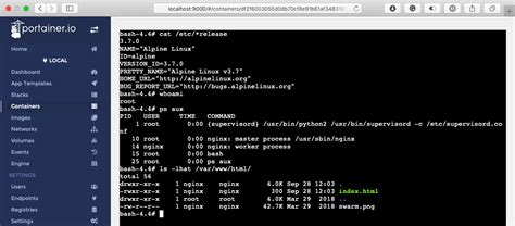 Console Mastering Docker Third Edition Book