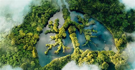 Michelle Basile Cdr On Linkedin Wearejci