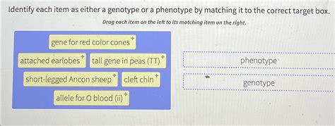 solved identify each item as either a genotype or a