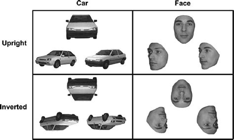 The 4 Different Conditions Used In Experiment 3 Simultaneous
