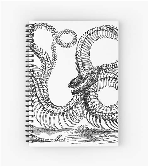 Snake Skeleton Drawing At PaintingValley Com Explore Collection Of Snake Skeleton Drawing