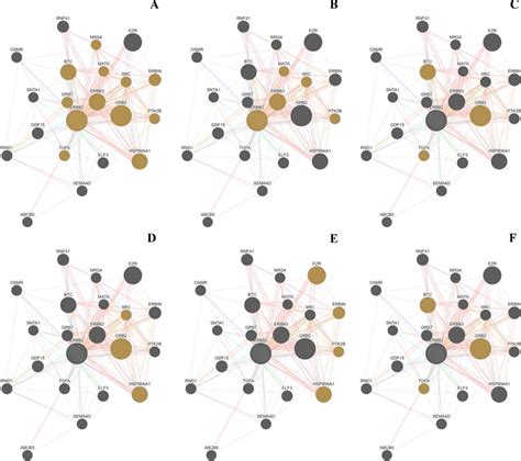 Construction Of Her2 Network With The Neighboring Genes Based On Mean Download Scientific