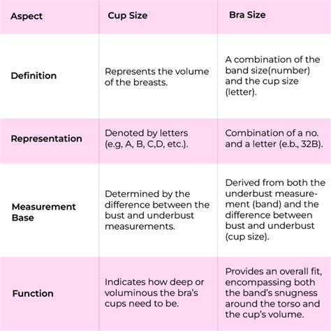 What Are Bra Sizes What Is The Alphabet Abcd In Bra Size Clovia Blog