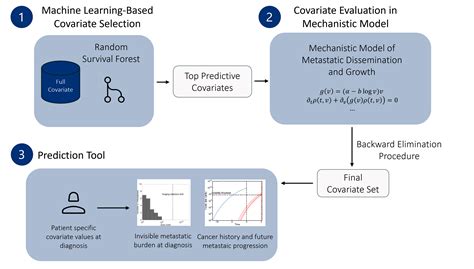 machine learning ml models in healthcare