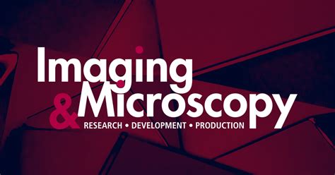 Imaging And Microscopy 4 2024 2024 Wiley Analytical Science