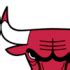 Bulls President Michael Reinsdorf Details Requirements For New Top