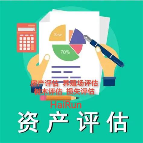 发明专利实用新型专利评估价值充作实缴资本 报告 登记 机构