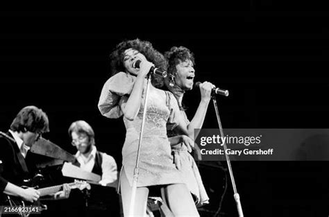 2224 June Pointer Photos And High Res Pictures Getty Images