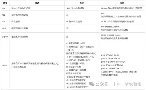 【linux】linux命令速查表 csdn博客