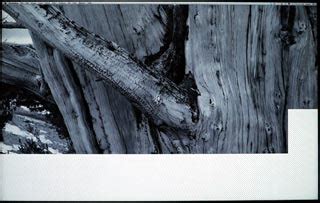 Why I Disable OpenGL In Photoshop CS5