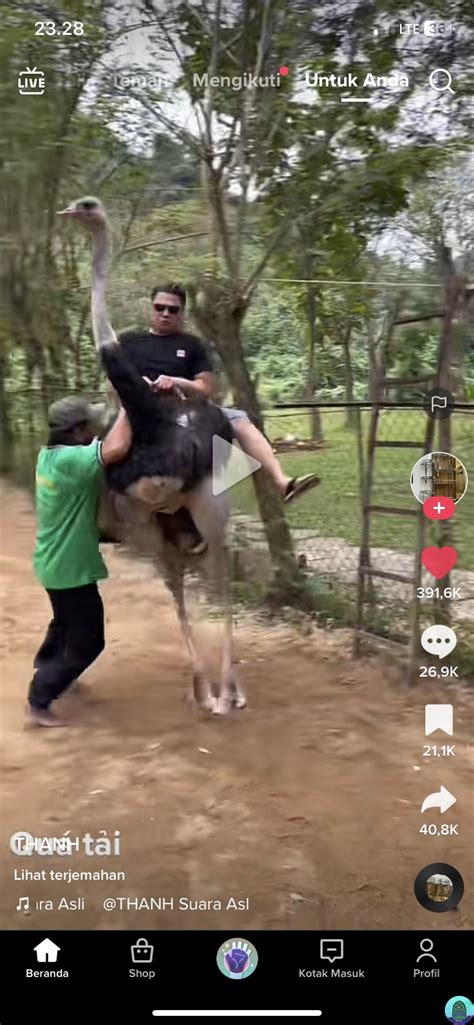 Tanyarl ㅡ Dilarang on Twitter kalian udah liat ini belum ntar vid nya ku drop di bawah