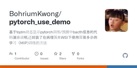 GitHub BohriumKwong pytorch use demo 基于tqdm动态显示pytorch训练 预测中bacth信息的代码演示说明 还封装了在病理图片WSI下使用简易多