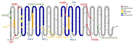 Projects Cuddapah Lab