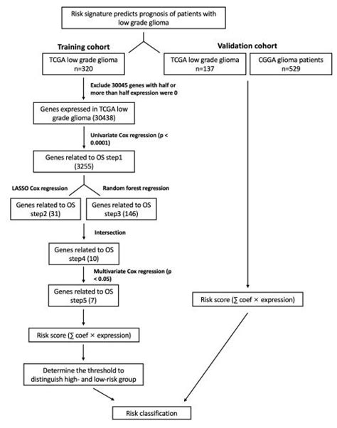 分Nature文章关注的点我们追踪复现一下不为过吧m A联合SNP纯生信分析思路大放送 知乎