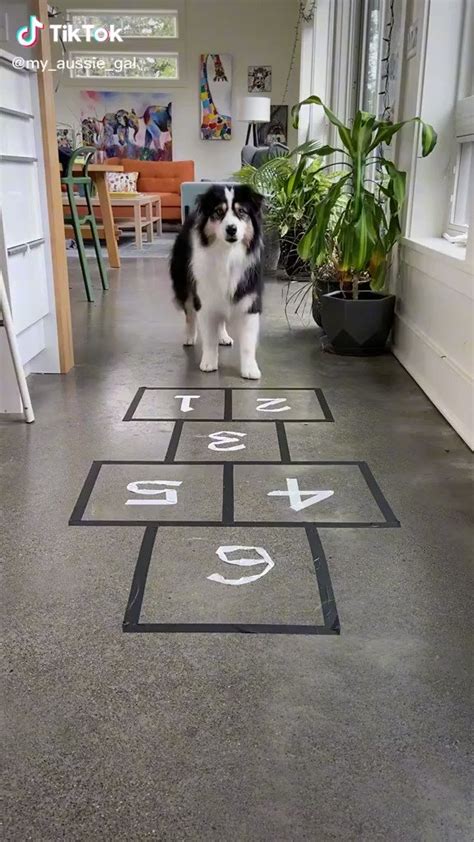 오구오구 킬링타임용 짤모음 Timekillingkkk