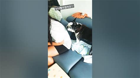 누나가업어주면 션찮아ㅋ그래도땡큐♡ Youtube