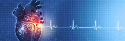 Digoxin Offers Cost Savings Over Beta Blockers In Af Care