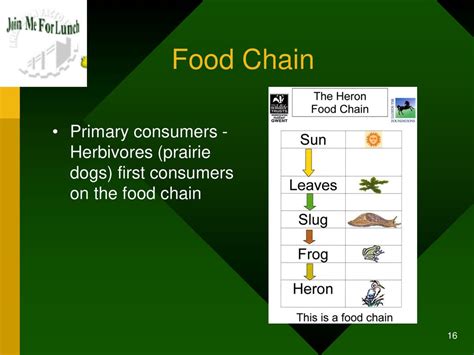 Living Things Need Energy Biology Diagrams Piper Blake