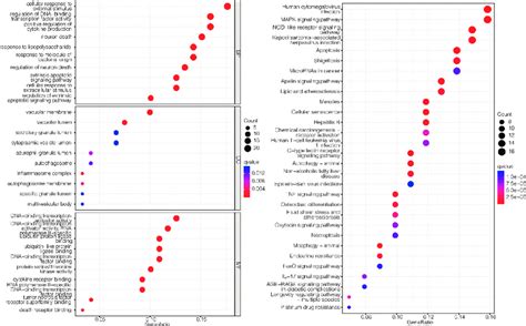 Go Enrichment And Kegg Pathway Analysis Of The Pan Pcd Related Degs