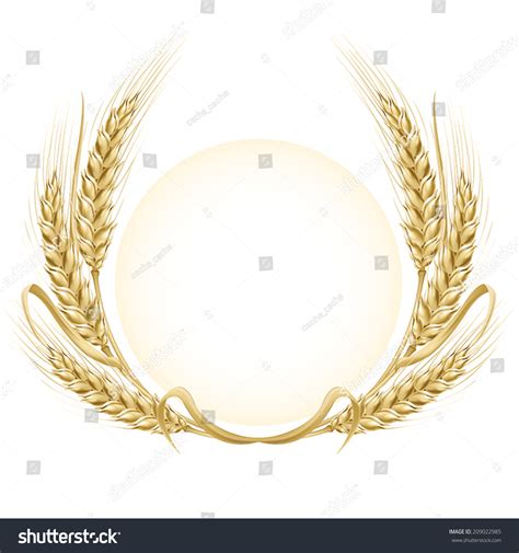 Frame Round Vector Eps 10 Background Wheat Ears Wreath 209022985