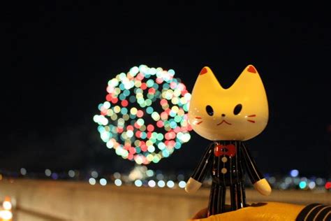 facecat facecat added a new photo to the album 불꽃축제