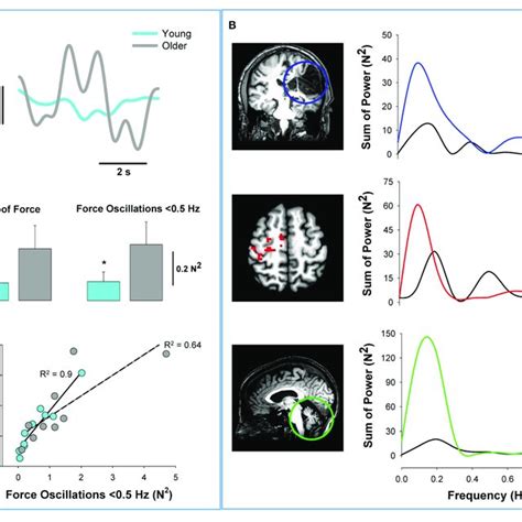 Modulation Of Low Frequency Oscillations In The Force Output A In Download Scientific
