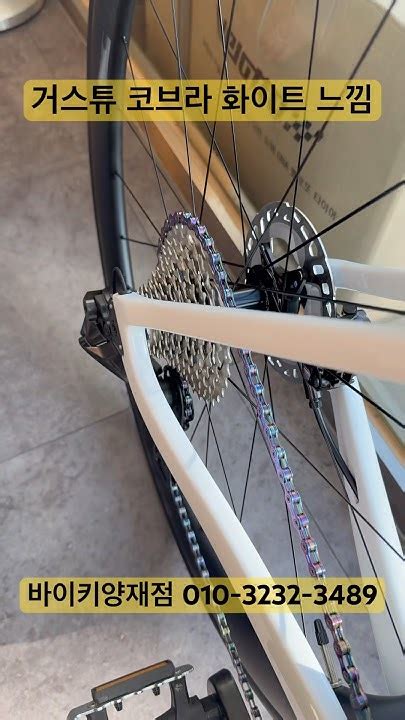 올라운드 가성비 로드 거스토 코브라 거스토코브라거스토듀로카본로드추천바이크성지 Bicycle 자전거 투어라이딩 Ebike Youtube