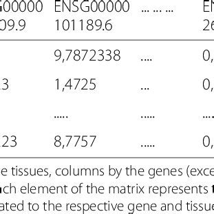 An Example Of RNA Seq Data Matrix Download Table
