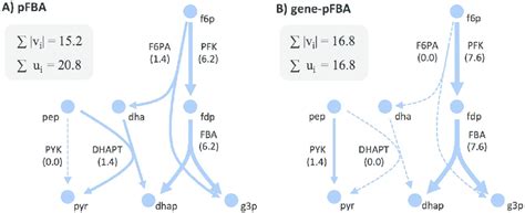 Pfba Simulation Of A Single Solution Difference In Simulation Results Download Scientific