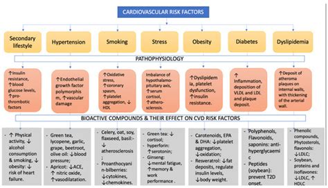 Bioactive Compounds And Nanodelivery Perspectives For Treatment Of Cardiovascular Diseases
