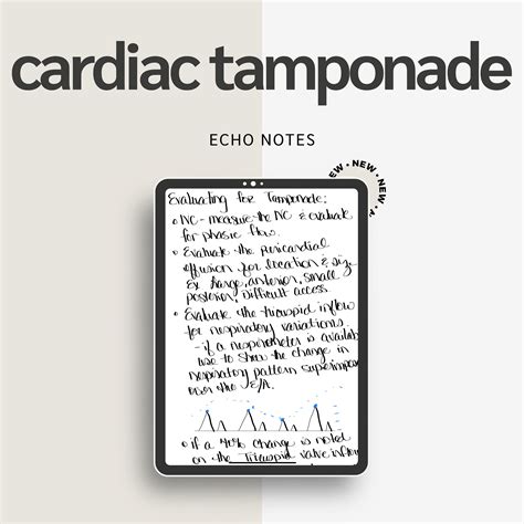 Sonography Notes Echocardiogram Study Guide Echo Tech Cheat Sheets