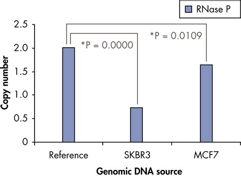 Qbiomarker Copy Number Pcr Array Human Oncogenes And Tumor Suppressor