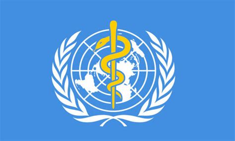 Hundreds Of Thousands Of Bodies Are Buried Under The Ground In Gaza Claims The World Health