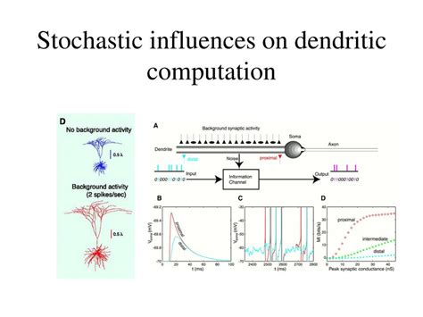 PPT Computational Neural Modeling And Neuroengineering PowerPoint Presentation ID