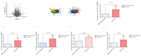 The Results Of Our Circrna Microarray A Volcano Plot Of Download Scientific Diagram