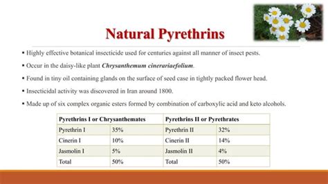 Structure And Mode Of Action Of Synthetic Pyrethroids Pptx Chemistry Science