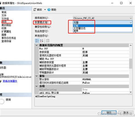Sqlserver Ldf日志文件过大解决方案 2021 09 26sqlserverldf文件太大 Csdn博客