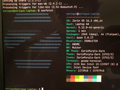 Random Horizontal Delays When Using Apps General Help Zorin Forum