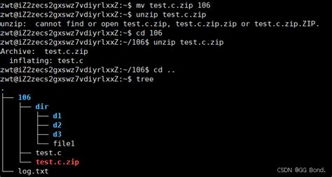 【linux探索学习】第三弹——linux的基础指令（下）——开启新篇章的大门 csdn博客
