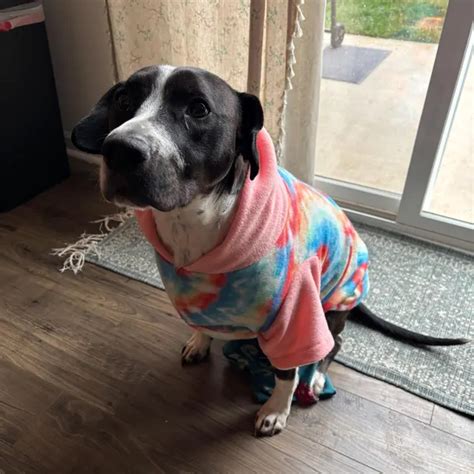 Sewing Pattern Blocks And Patterns Basic Pattern Block